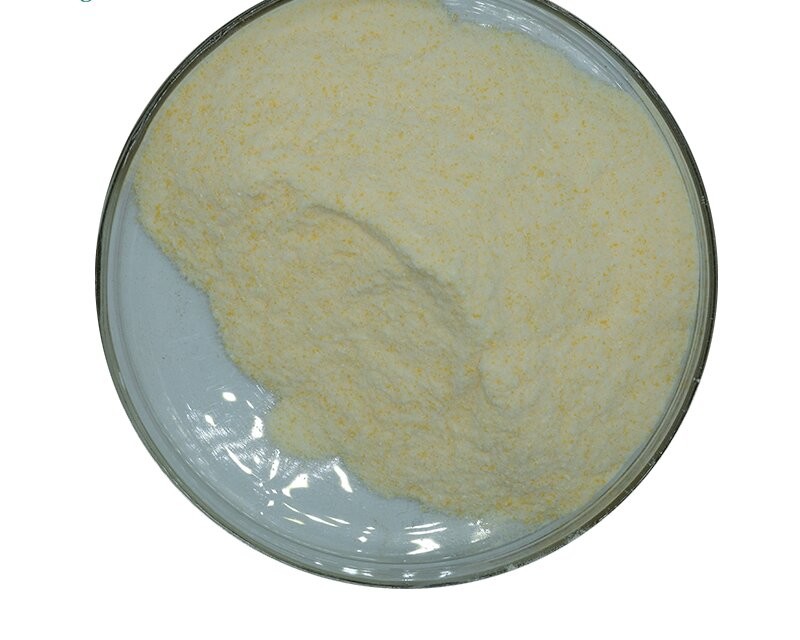 Food Grade Lipase Enzyme Powder 99% Purity (CAS 9001-62-1)